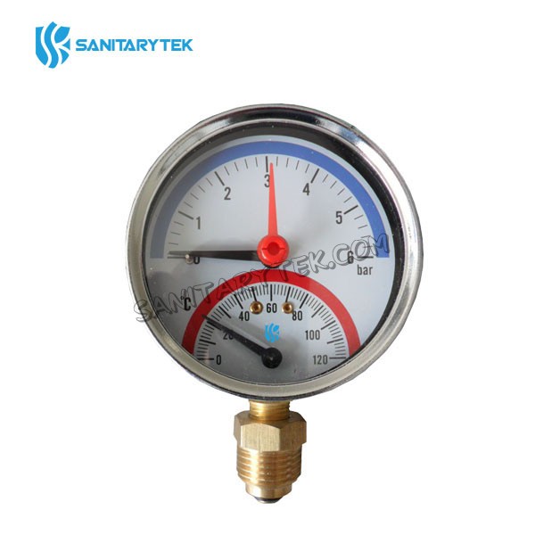 Combined thermometer pressure gauge